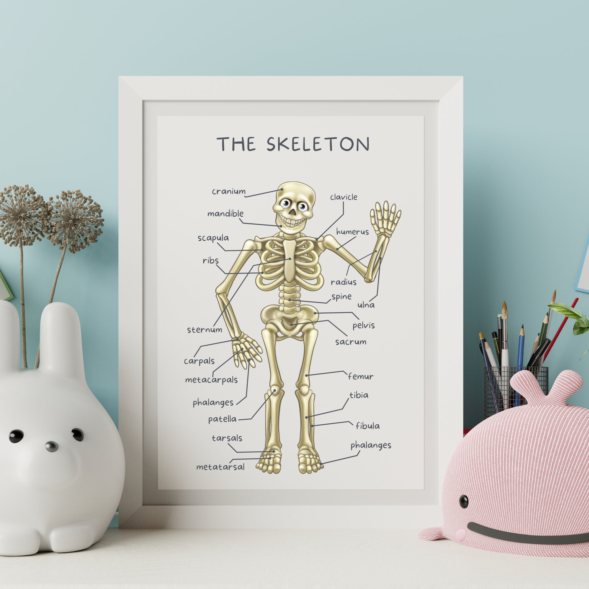 Human Skeleton Poster for Kids, Human Bones Wall Decor, Educational ...