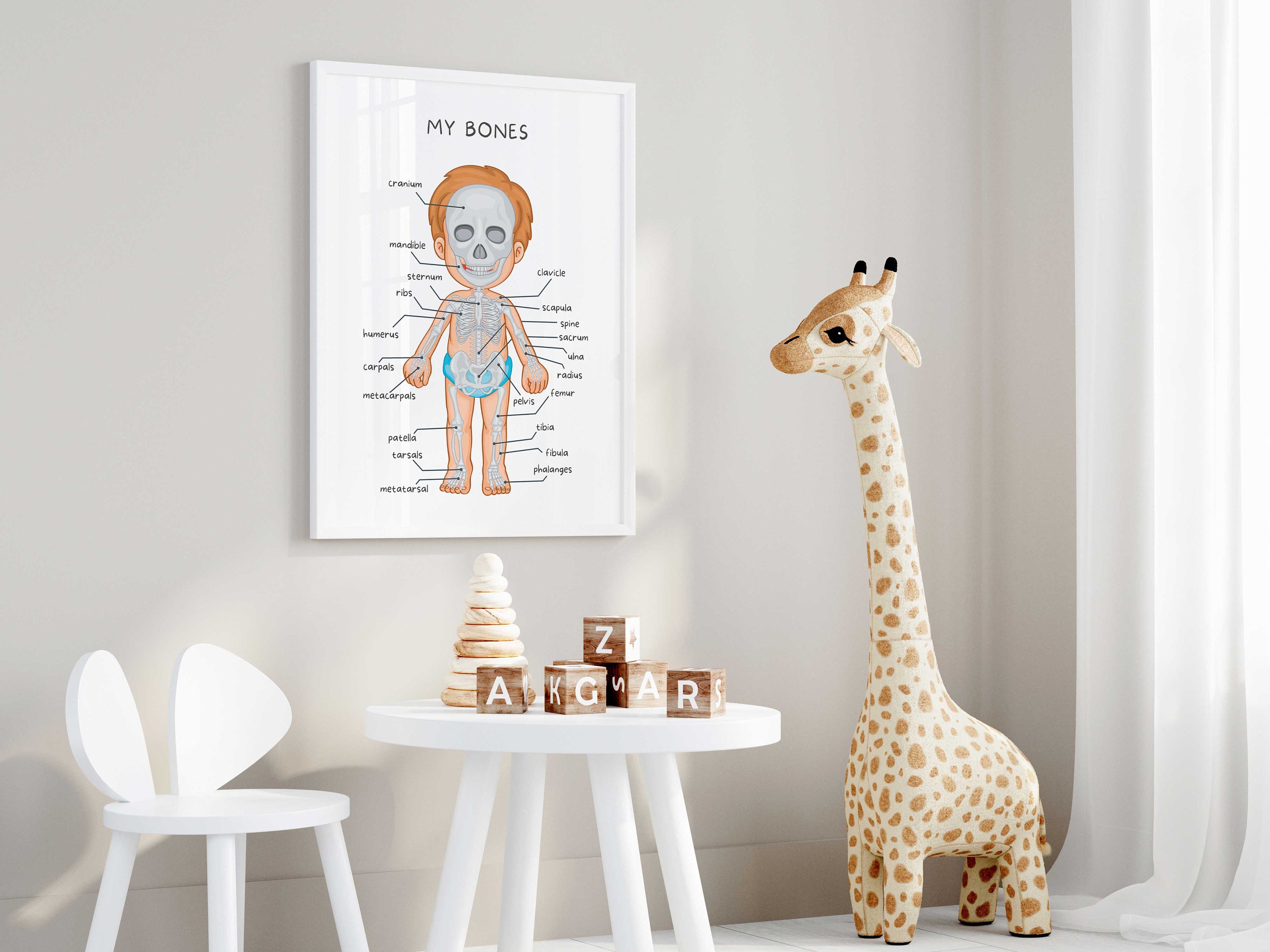 Human Skeleton Poster for Kids, Human Bones Wall Decor, Educational ...