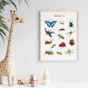 Set of 9 Educational Posters, Farm Animals Poster, Nursery Classroom ...