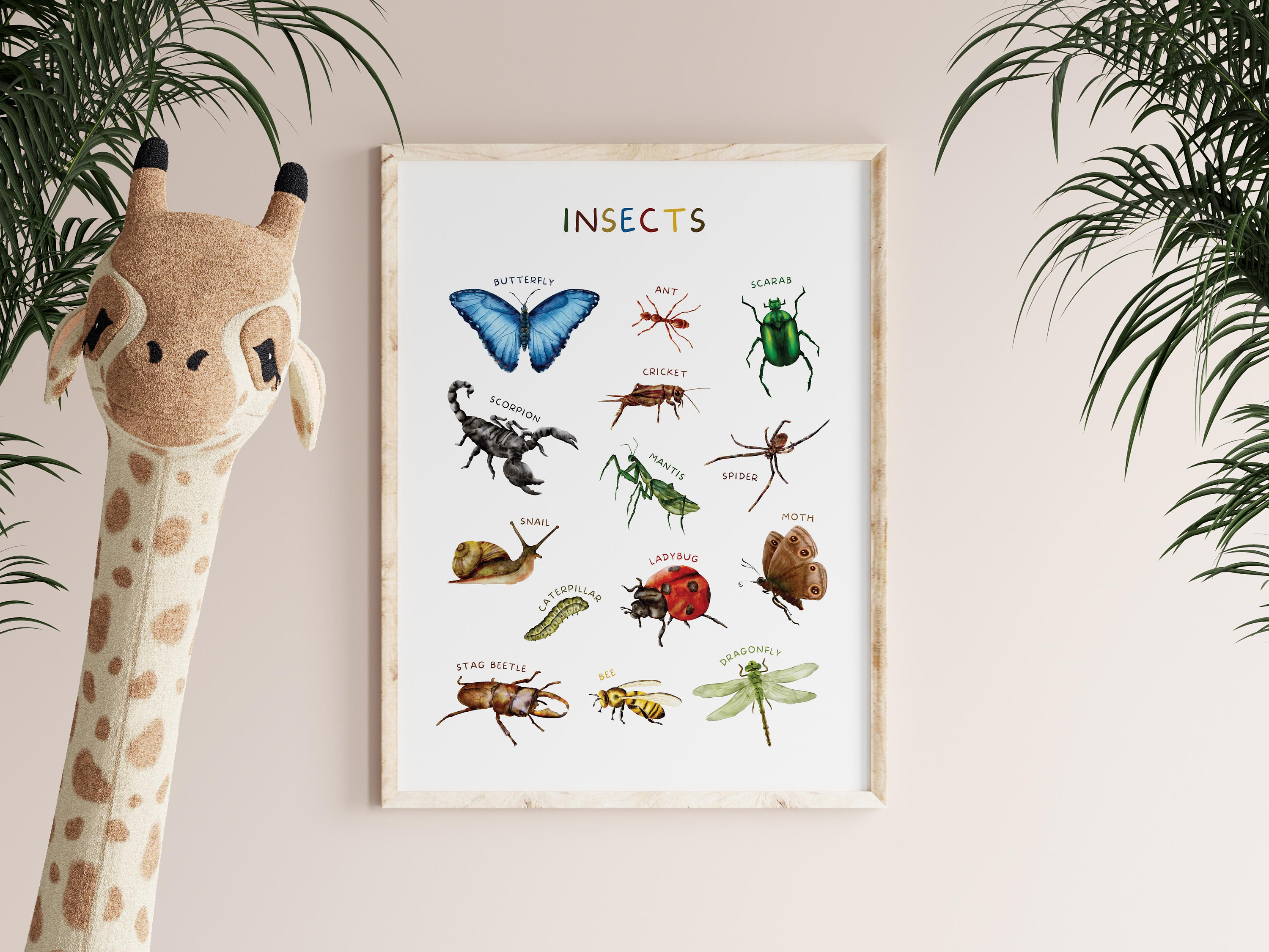 Set of 4 Educational Posters, Farm Animals Poster, Nursery Classroom ...