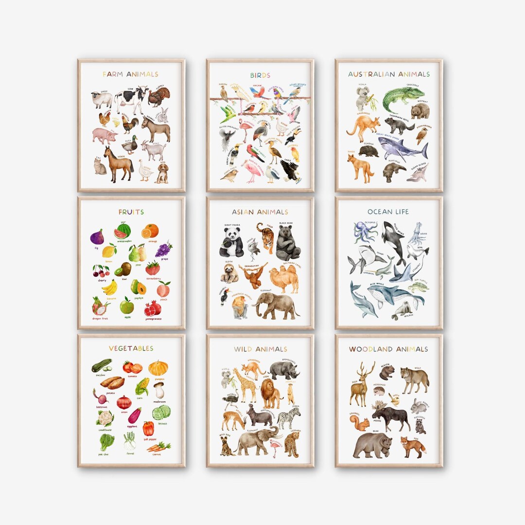 Set of 9 Educational Posters, Farm Animals Poster, Nursery Classroom ...