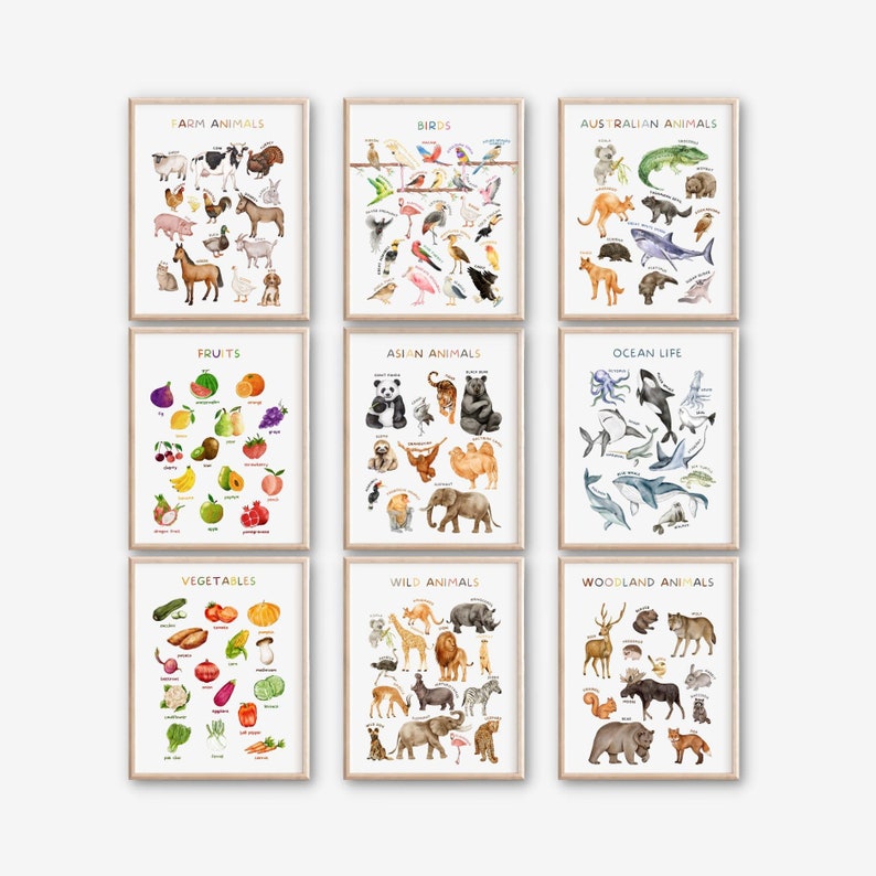 Set of 9 Educational Posters, Farm Animals Poster, Nursery Classroom ...