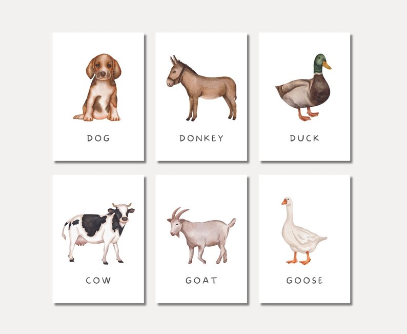 16 Farm Animals Cards, Preschool Learning Materials, Montessori Flash ...