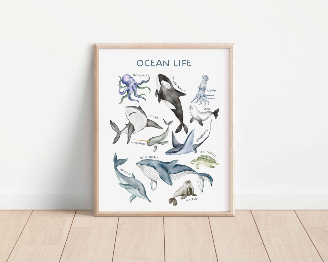 Ocean Animals Poster, Kids Wall Decor, Educational Print, Playroom ...