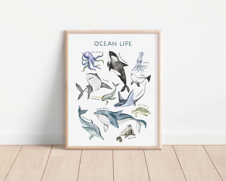 Ocean Animals Poster, Kids Wall Decor, Educational Print, Playroom ...