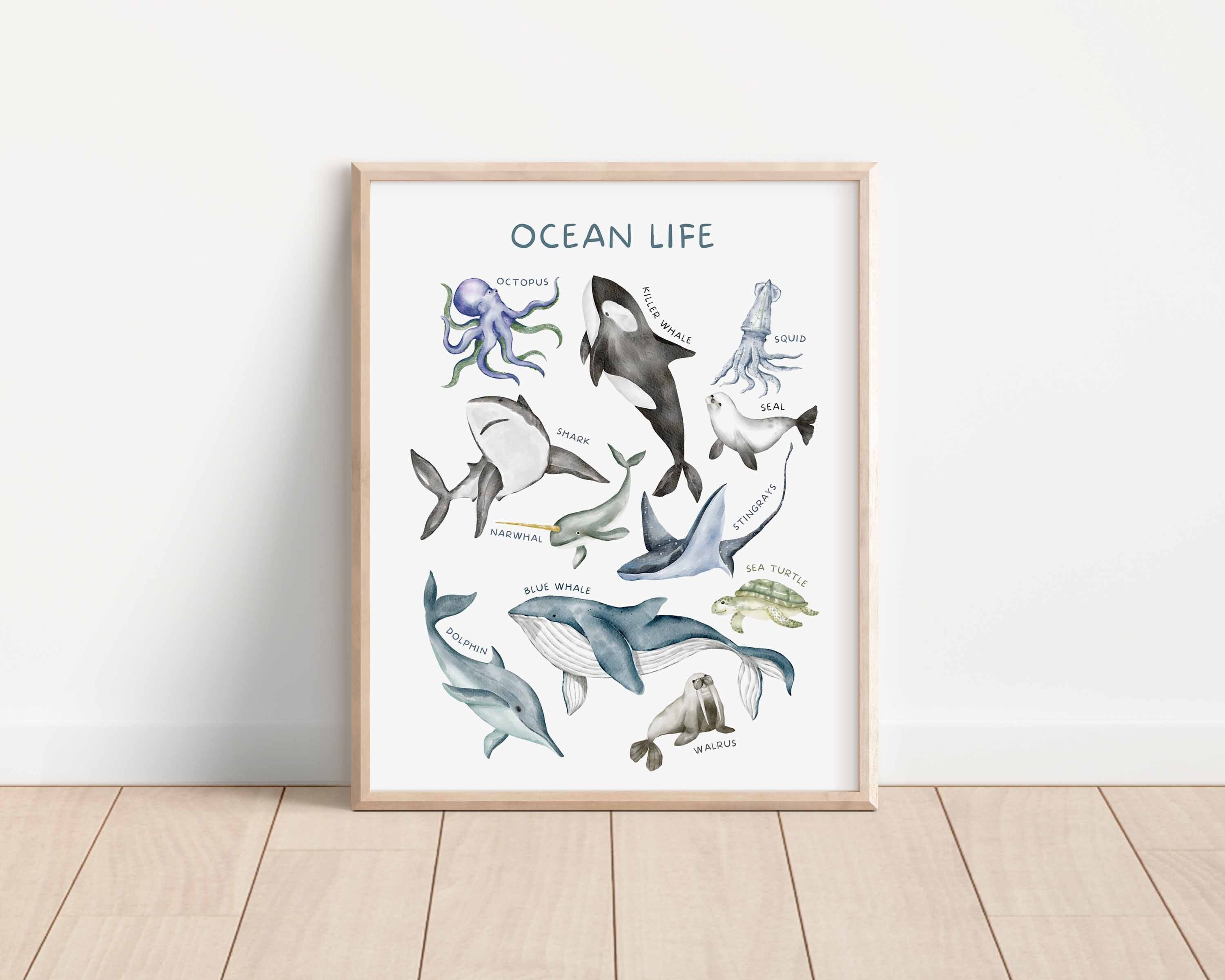 Ocean Animals Poster, Kids Wall Decor, Educational Print, Playroom ...
