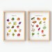Set of 6 Educational Posters, Fruits Vegetables Posters, Animals ...