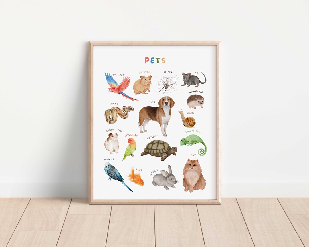 Pets Animals, Educational Printable Wall Art, Learning Home School ...