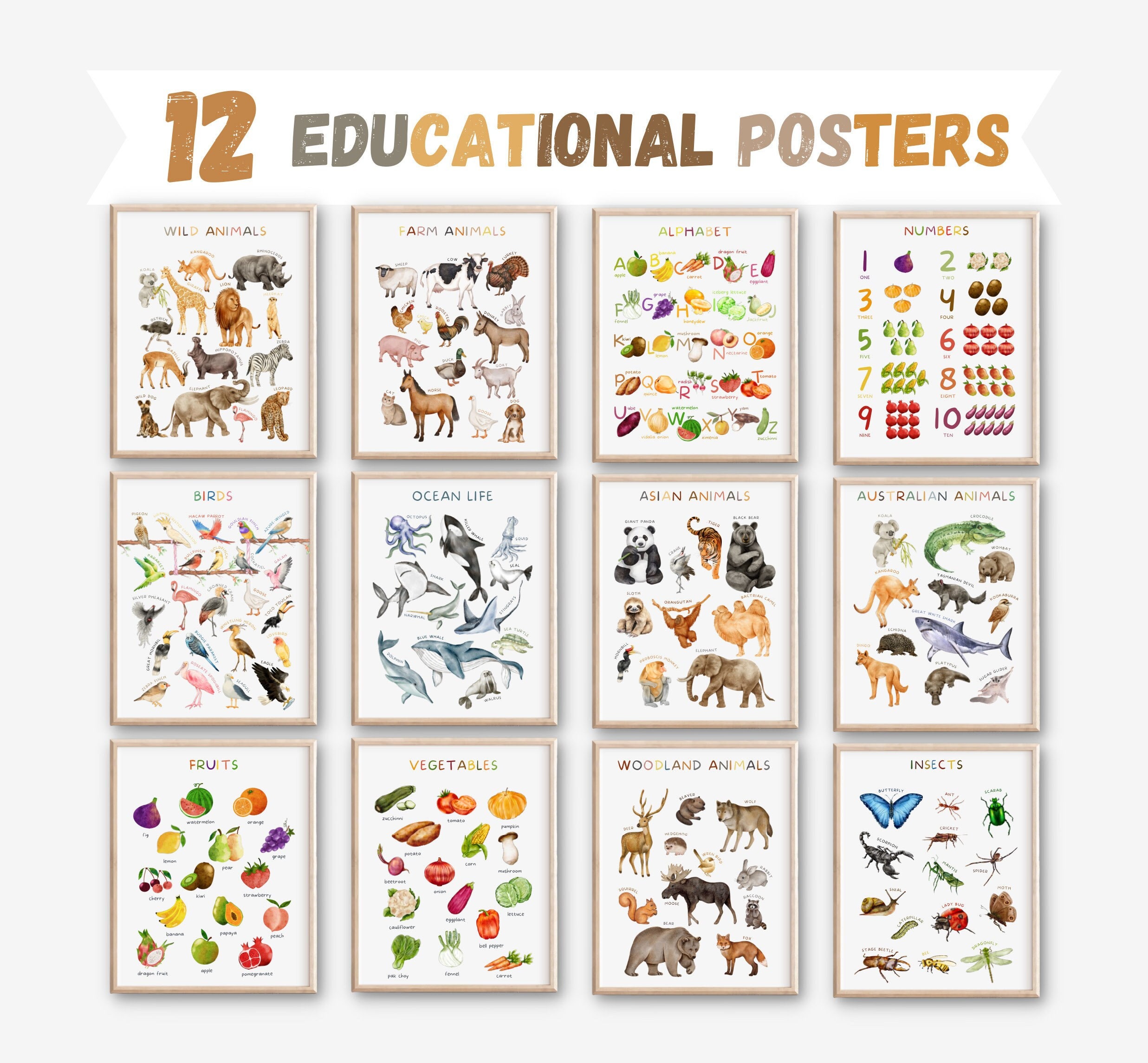 Set of 12 Educational Posters, Fruits Vegetables Posters, Animals ...
