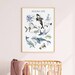Ocean Animals Poster, Kids Wall Decor, Educational Print, Playroom ...