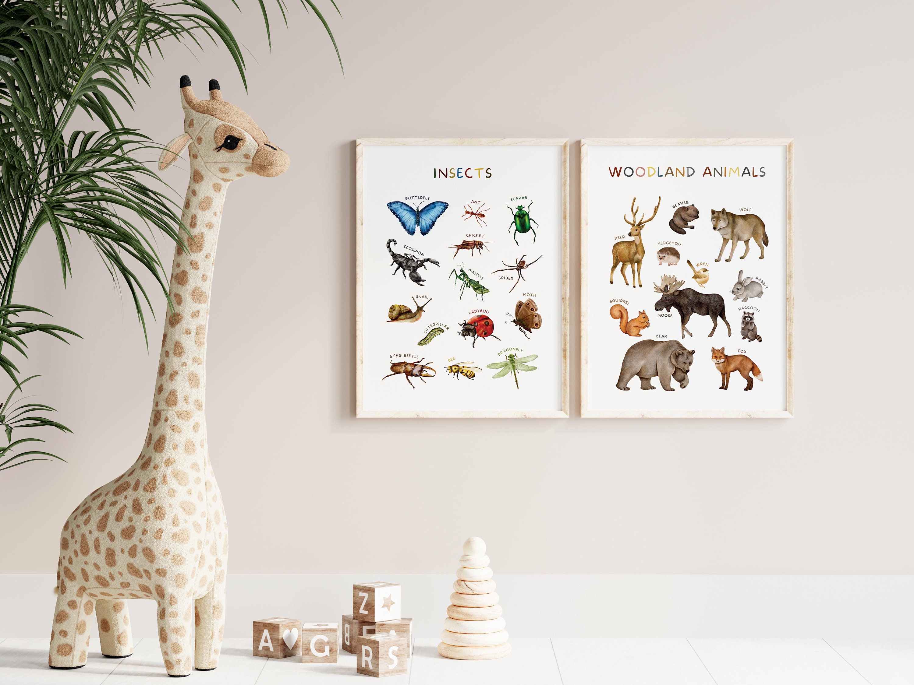 Set of 12 Educational Posters, Fruits Vegetables Posters, Animals ...