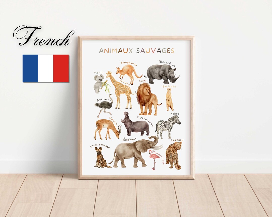 Wild Animals Poster French Edition, Kids Wall Decor, Educational Print ...