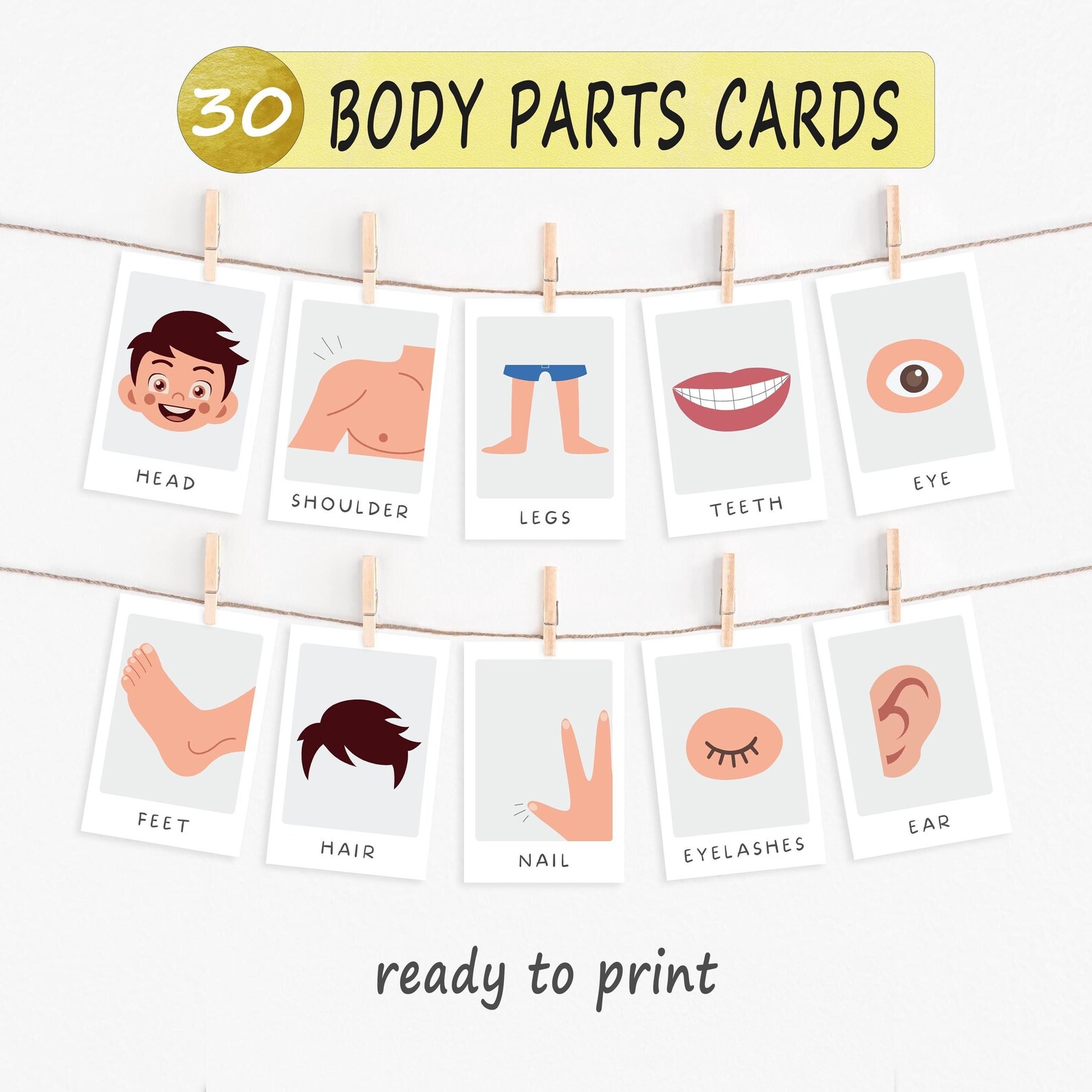 30 Body Parts Cards, Montessori Flashcards, Pre-school Cards, Learning ...
