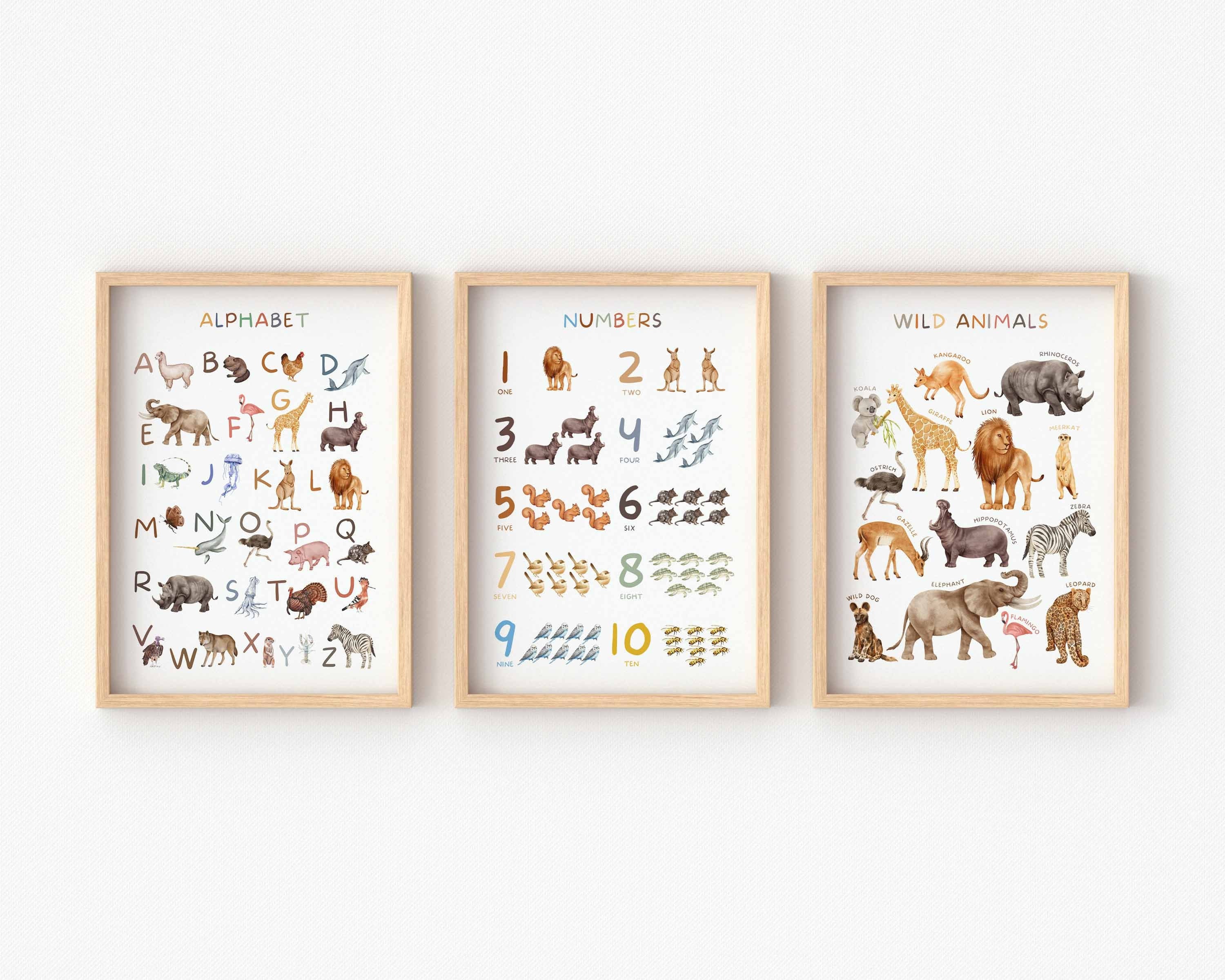 Set of 3 Educational Posters, Alphabet Poster, Classroom Decor, Kids ...