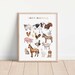 Set of 9 Educational Posters, Farm Animals Poster, Nursery Classroom ...