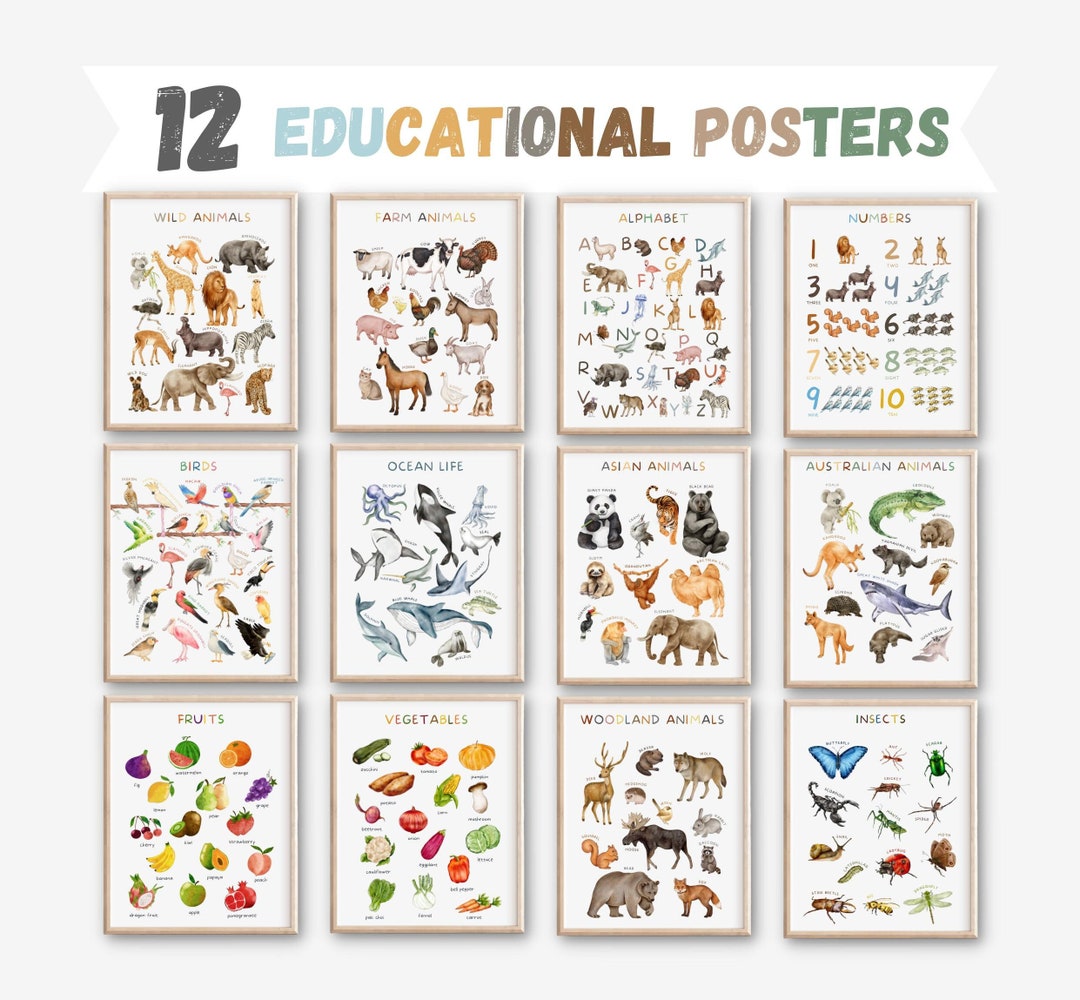 Set of 12 Educational Posters, Watercolor Kids, Classroom Decor,animal ...