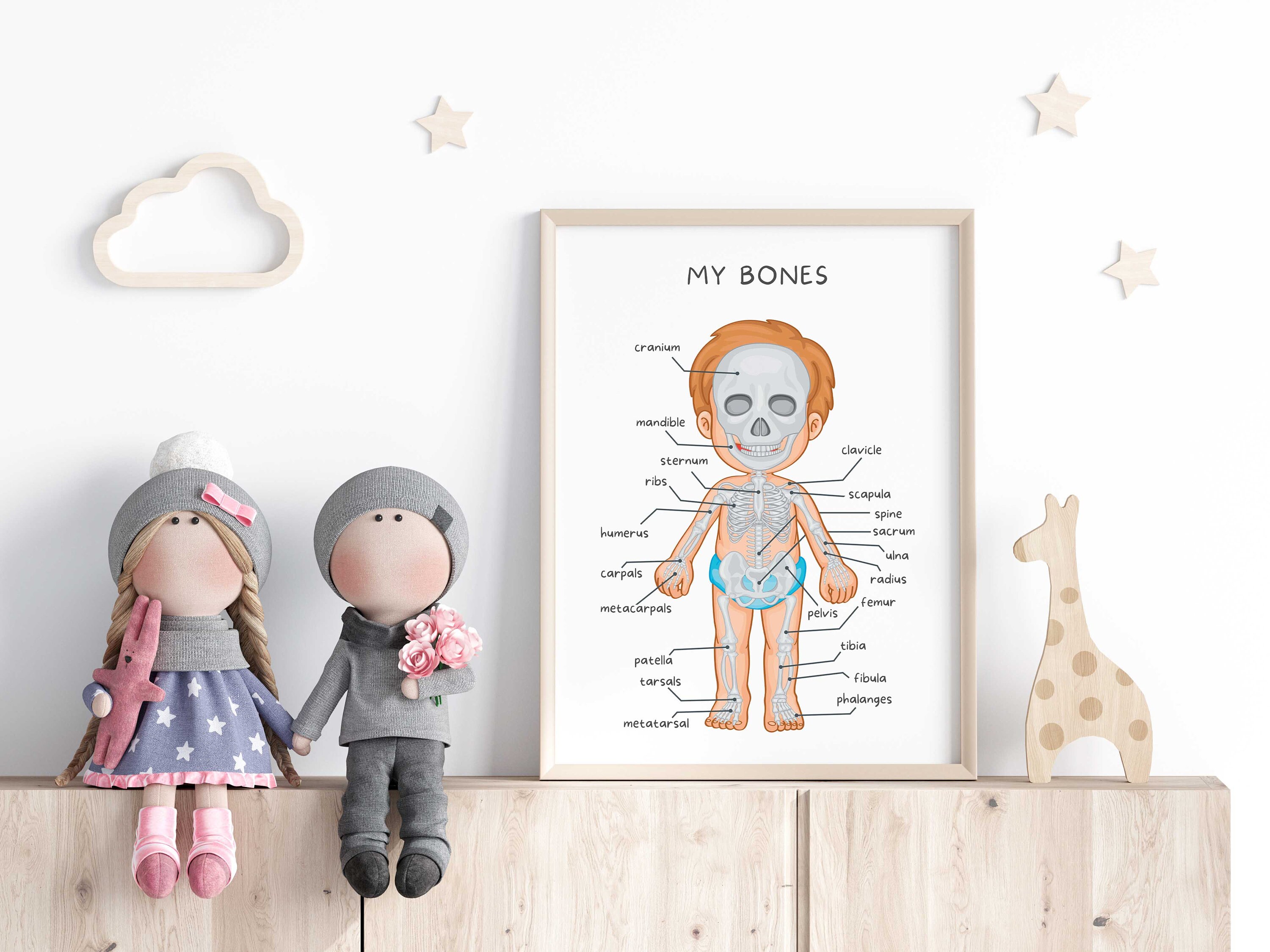 Human Skeleton Poster for Kids, Human Bones Wall Decor, Educational ...