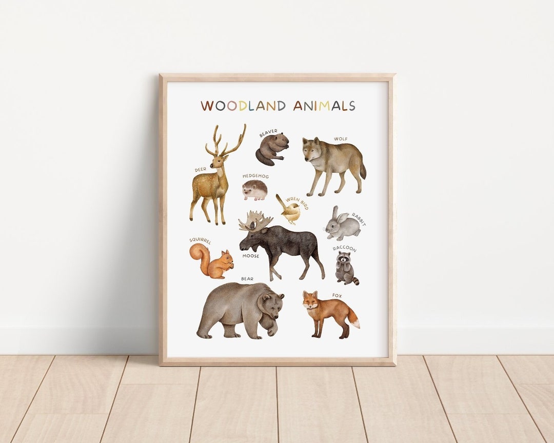 Woodland Animals Poster, Educational Poster, Neutral Playroom Decor ...