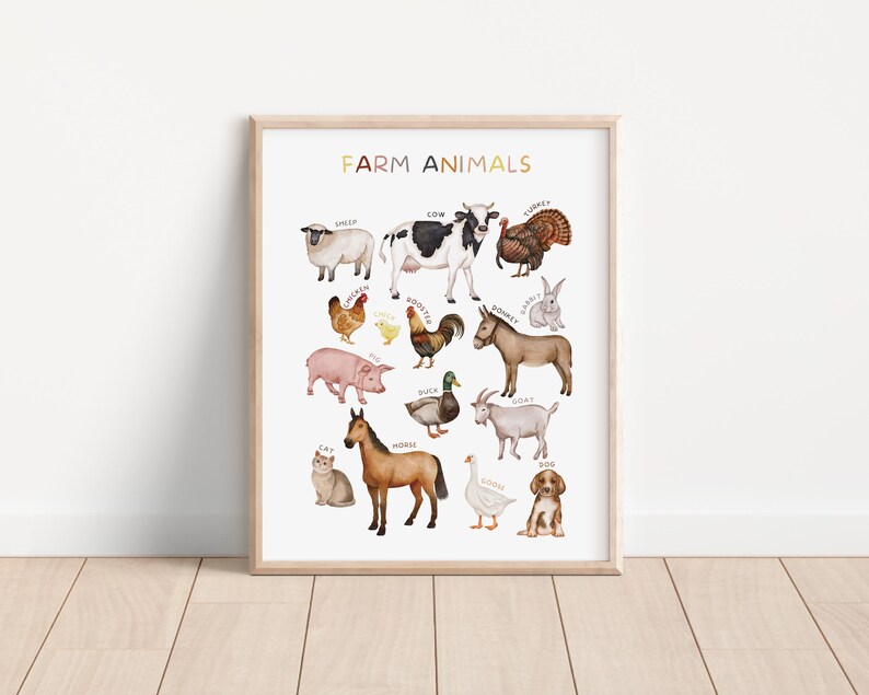 Set of 4 Educational Posters, Farm Animals Poster, Nursery Classroom ...