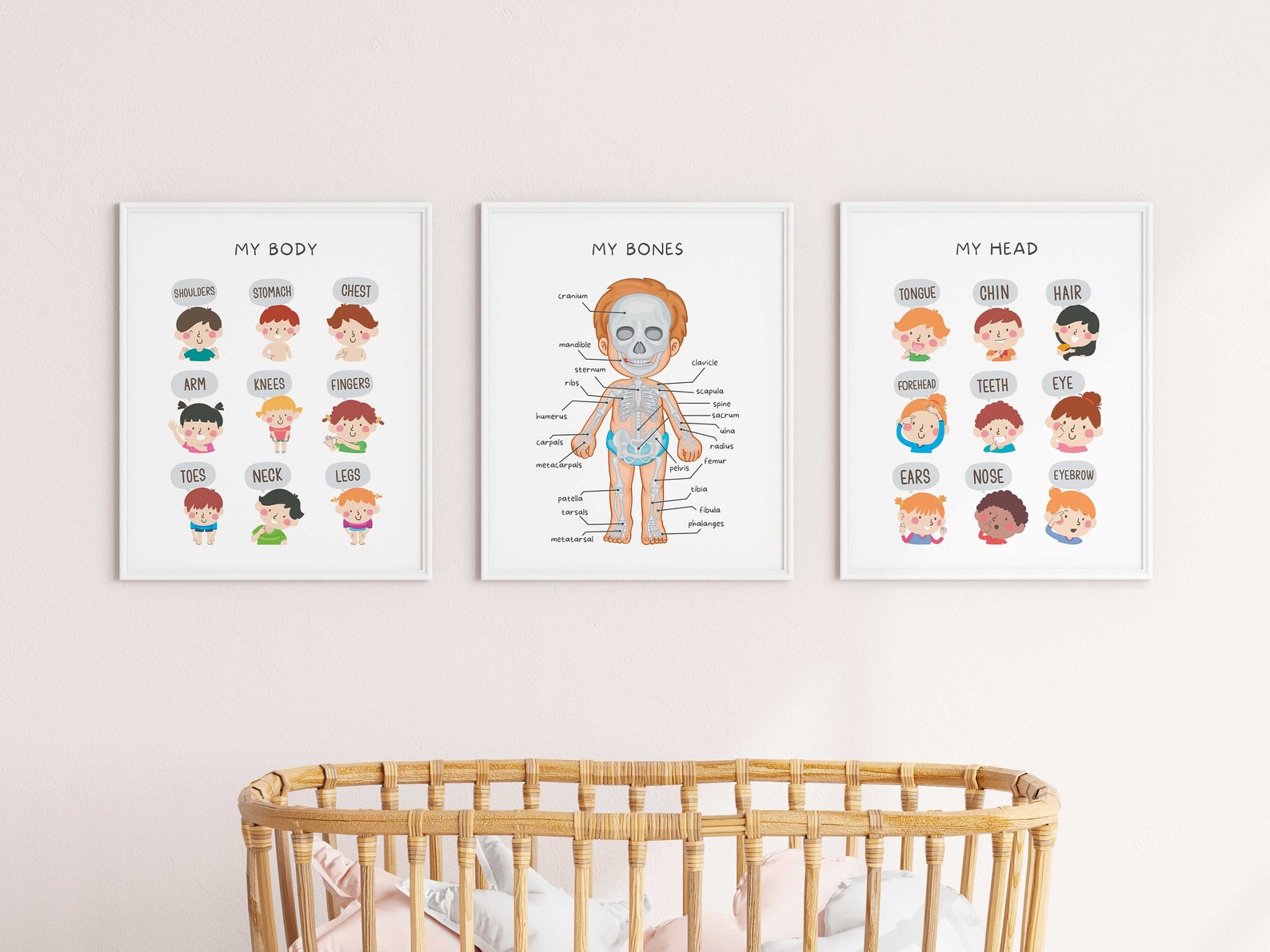 Body Parts Poster, Kids Wall Decor, Educational Print, Body Parts ...