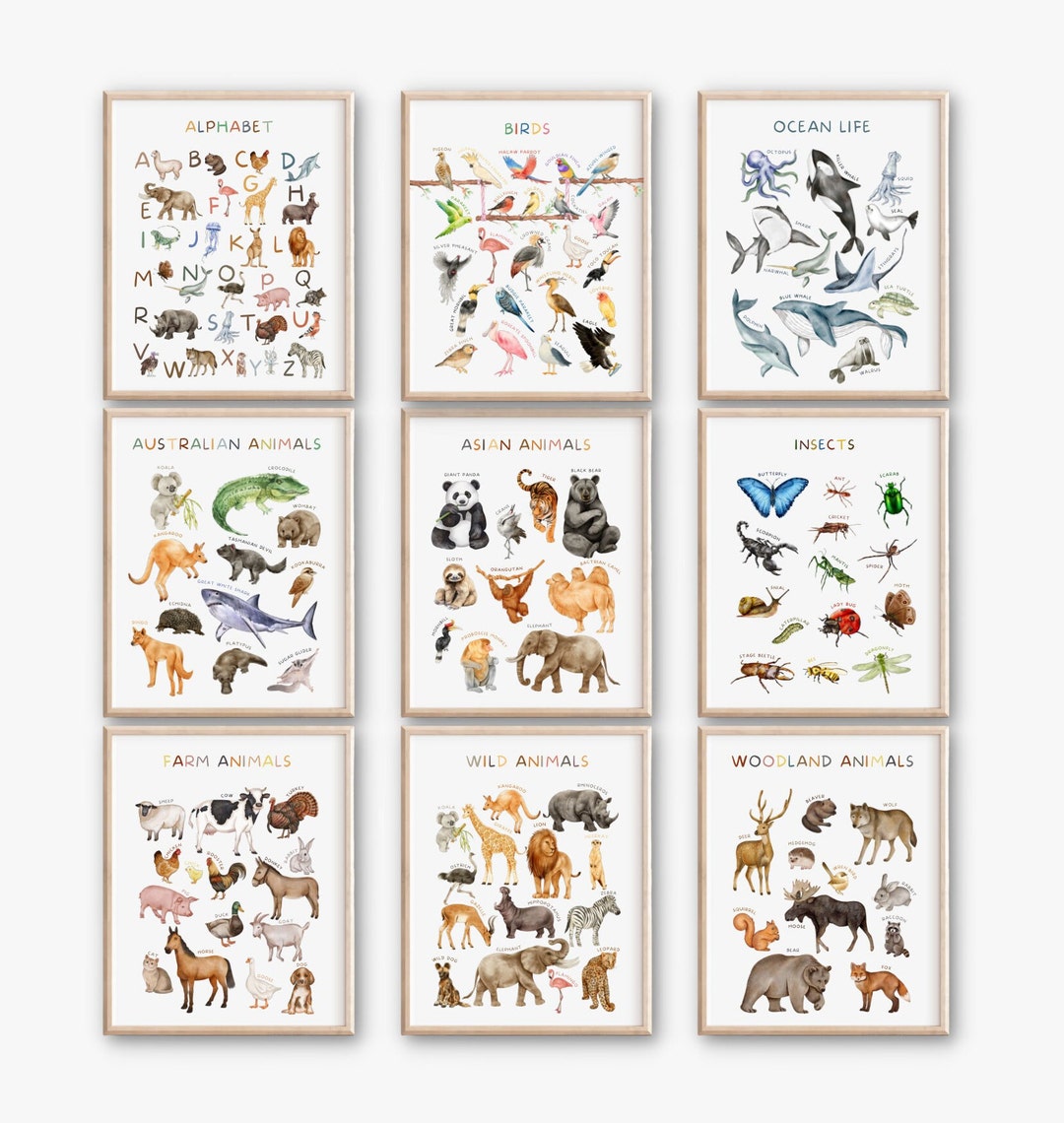 Set of 9 Educational Posters, Farm Animals Poster, Nursery Classroom ...