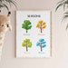 Weather Poster, Seasons Chart, Kids Wall Decor, Educational Print ...
