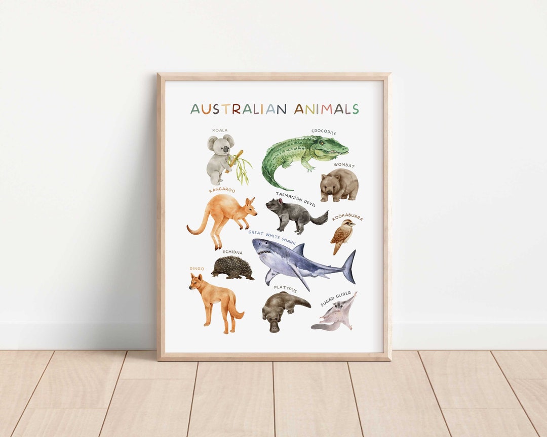 Australian Animals Poster, Kids Wall Decor,educational Print, Playroom ...