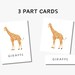 20 Wild Animals Cards, Preschool Learning Materials, Montessori Flash ...