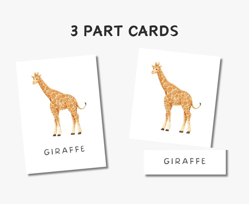 20 Wild Animals Cards, Preschool Learning Materials, Montessori Flash ...