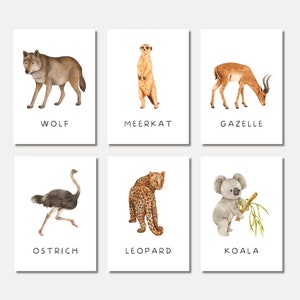 20 Wild Animals Cards, Preschool Learning Materials, Montessori Flash ...