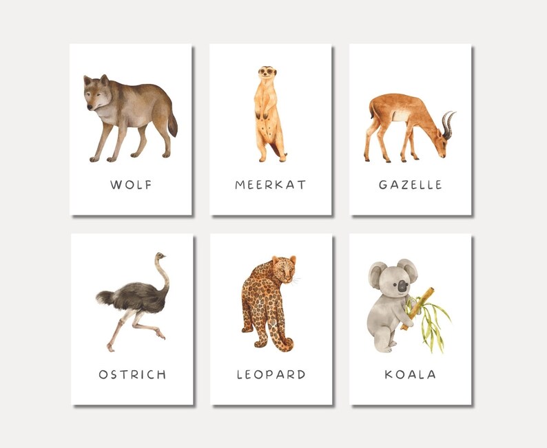 20 Wild Animals Cards, Preschool Learning Materials, Montessori Flash ...