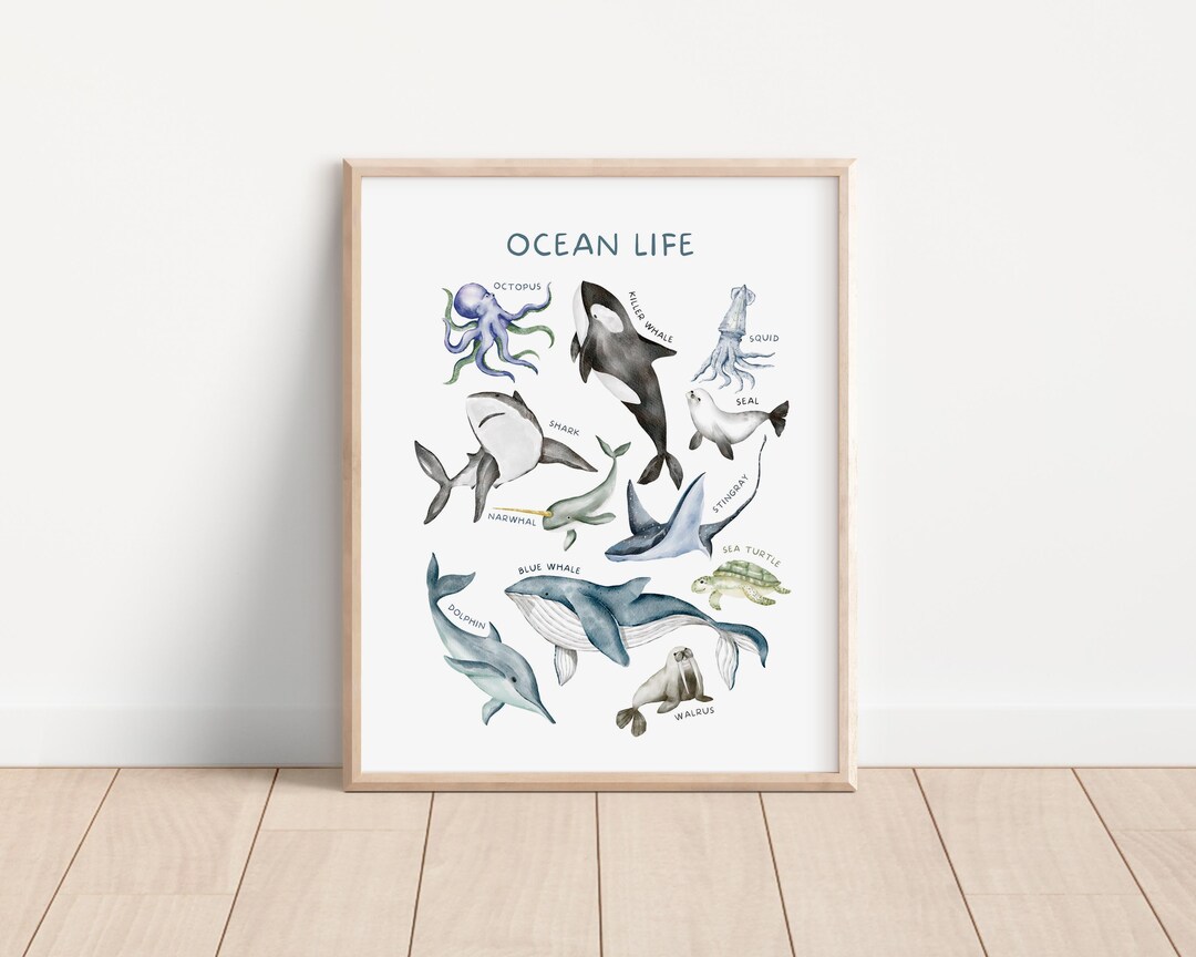 Ocean Animals Poster, Kids Wall Decor, Educational Print, Playroom ...