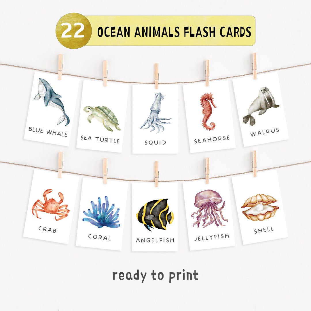 22 Ocean Animals Cards, Montessori Flash Cards, Preschool Learning ...