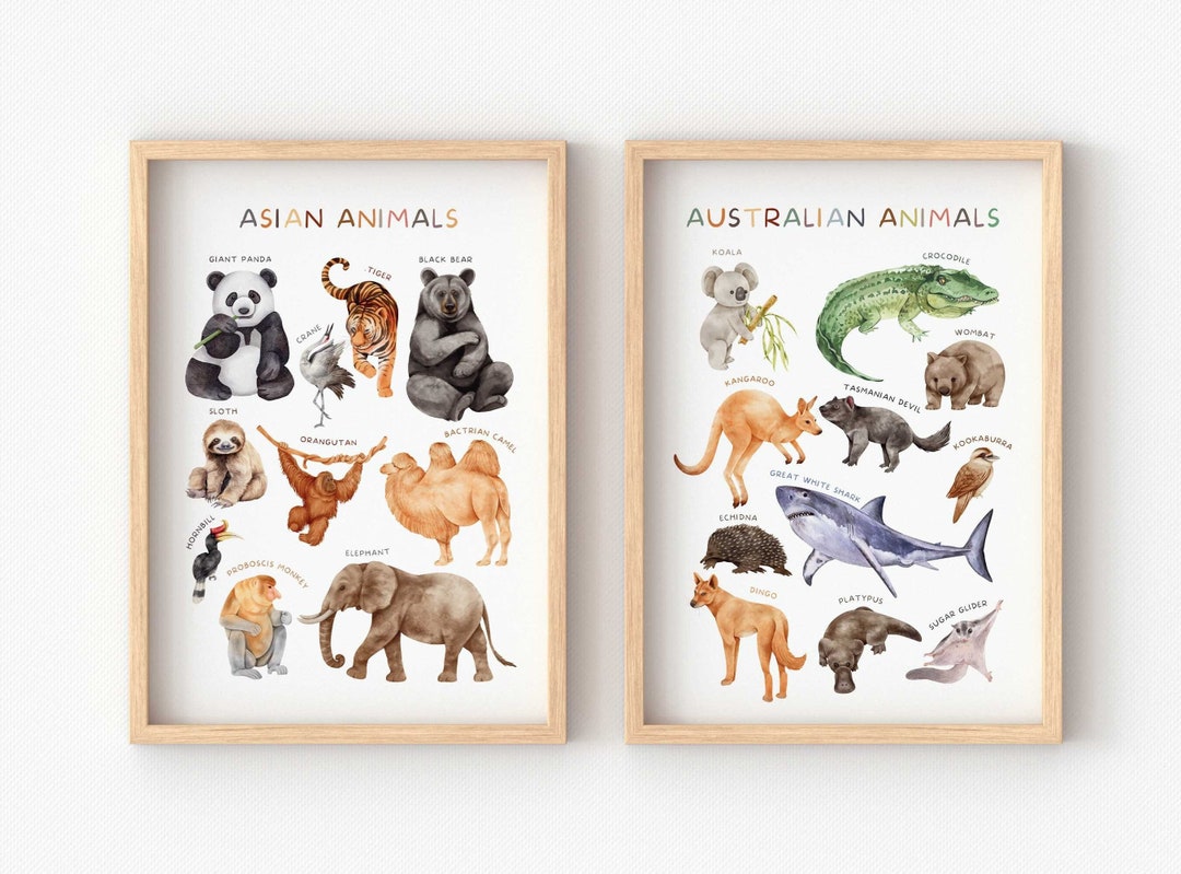 Set of 2 Educational Posters, Asian Animals Poster, Australian Animals ...