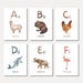 Printable Animal Alphabet Flash Cards, Classroom Decor, 26 Montessori ...