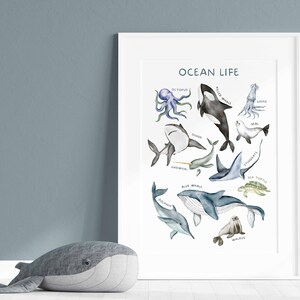 Ocean Animals Poster, Kids Wall Decor, Educational Print, Playroom ...