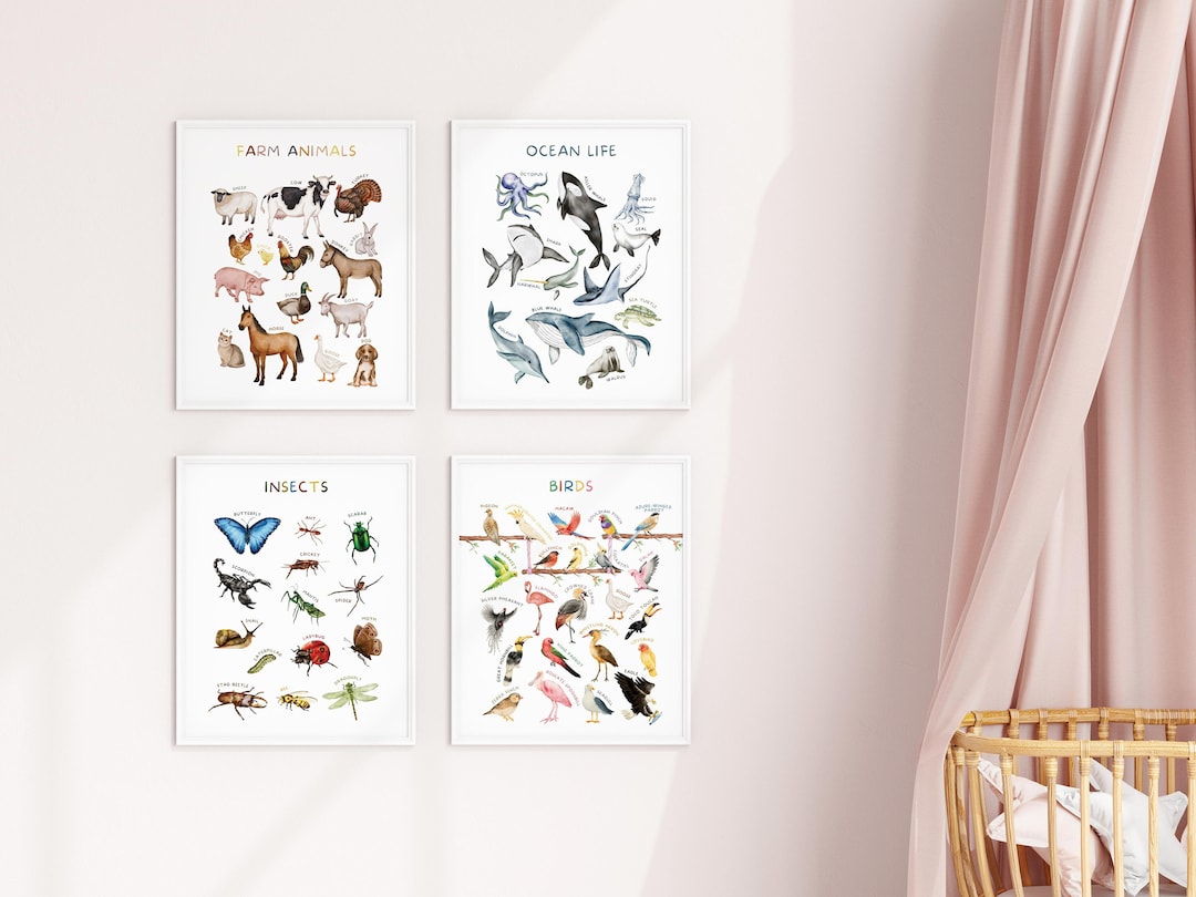 Set of 4 Educational Posters, Farm Animals Poster, Nursery Classroom ...