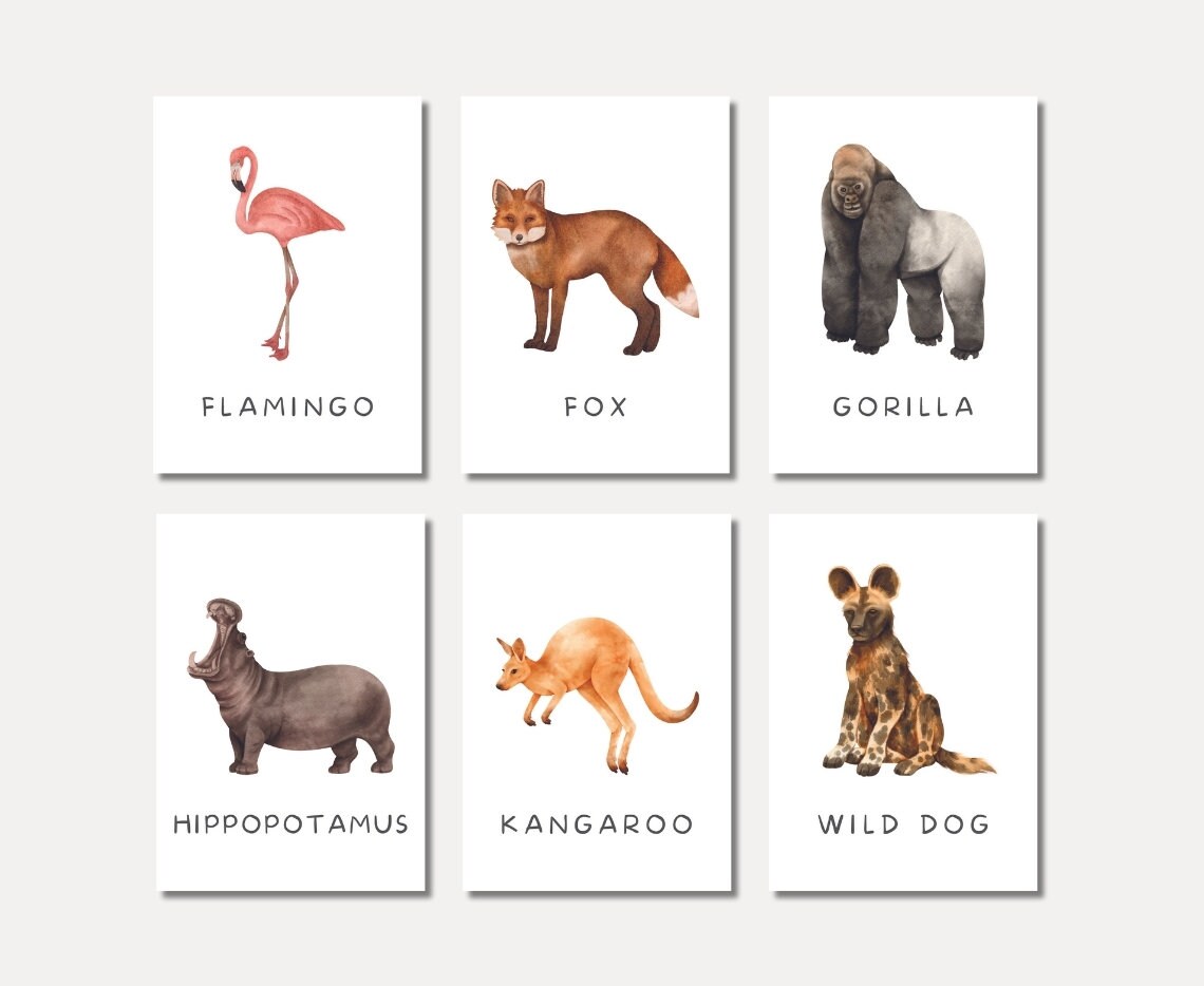 20 Wild Animals Cards, Preschool Learning Materials, Montessori Flash ...