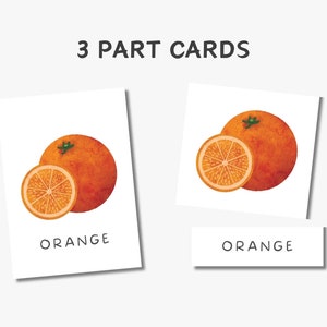 30 Fruits and Vegetables Cards,printable Flash Cards, Preschool ...