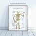 Human Skeleton Poster for Kids, Human Bones Wall Decor, Educational ...