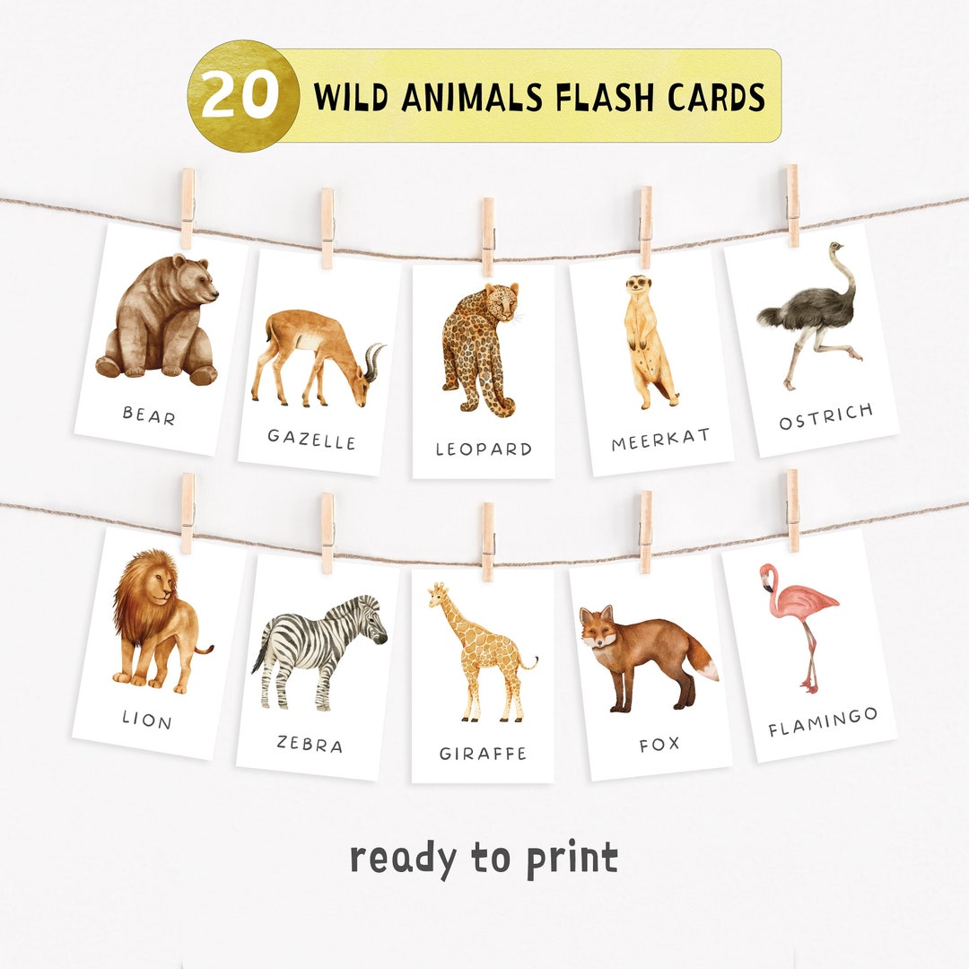 20 Wild Animals Cards, Preschool Learning Materials, Montessori Flash ...