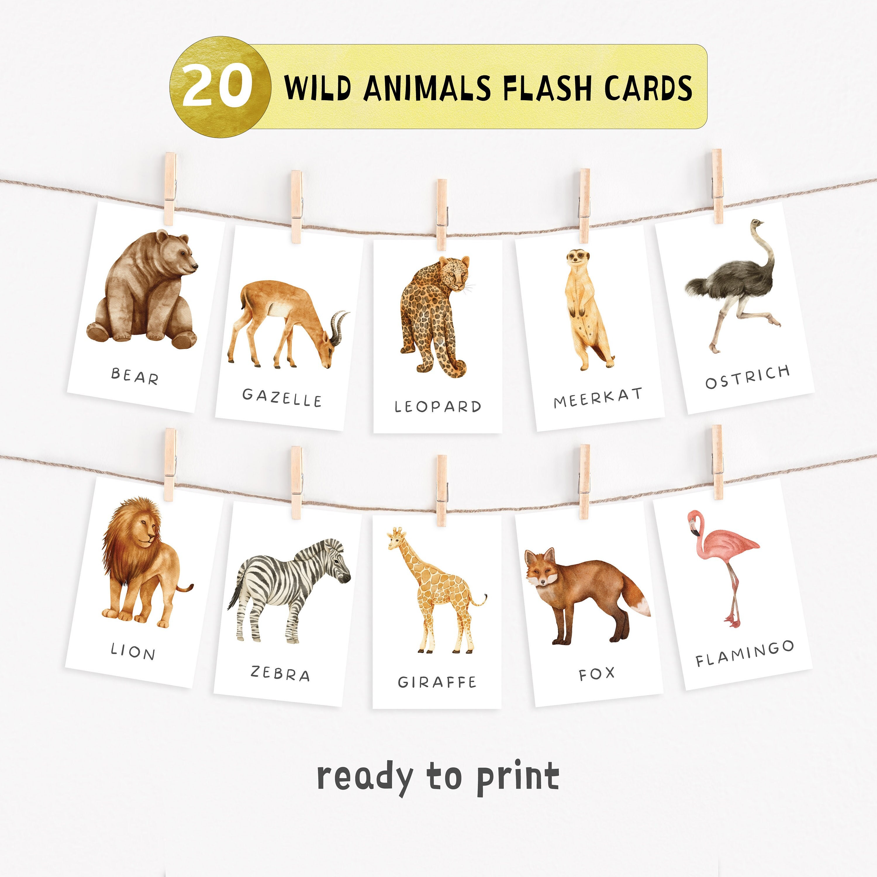 20 Wild Animals Cards, Preschool Learning Materials, Montessori Flash ...