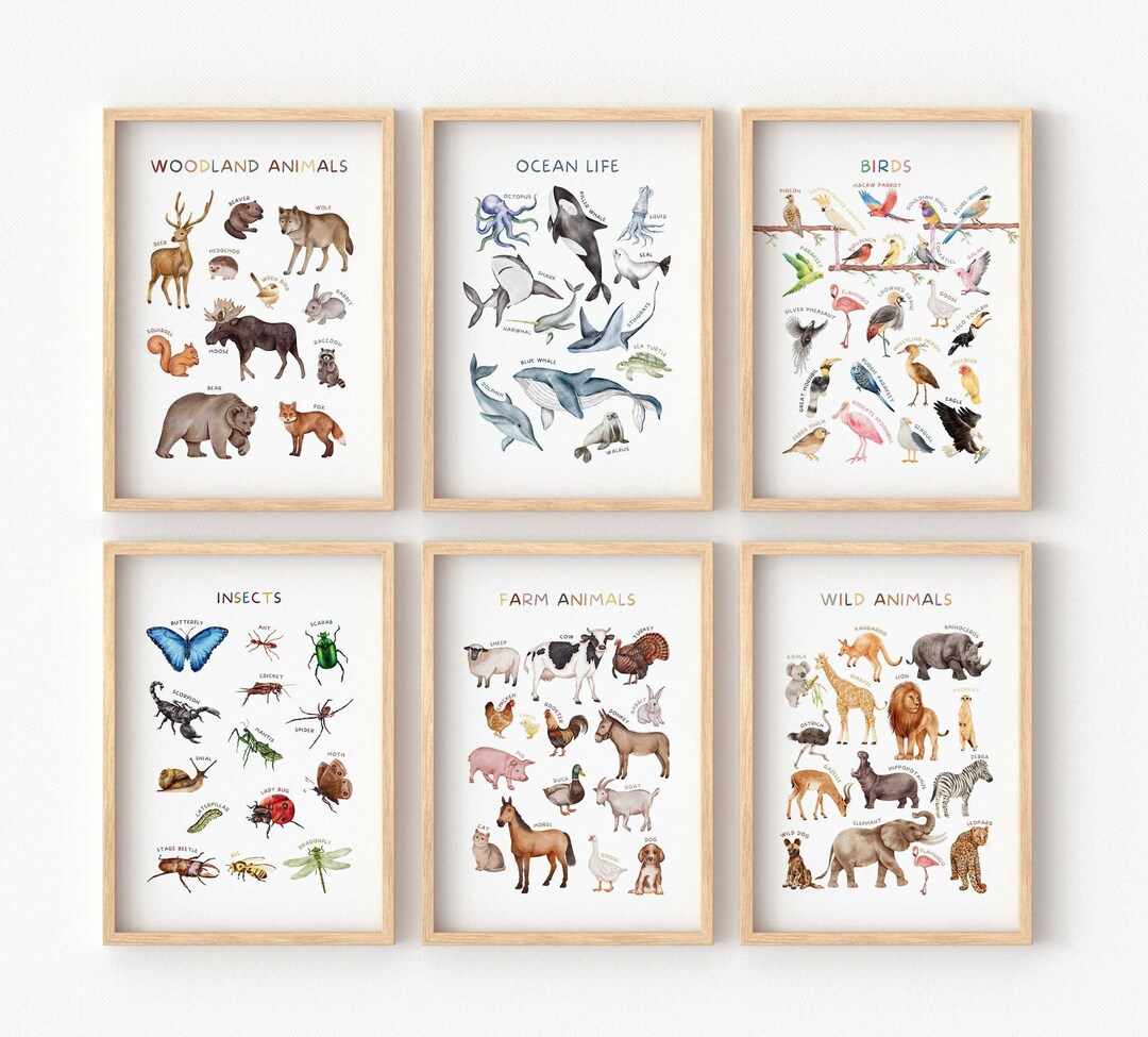 Set of 6 Educational Posters, Farm Animals Poster, Nursery Classroom ...