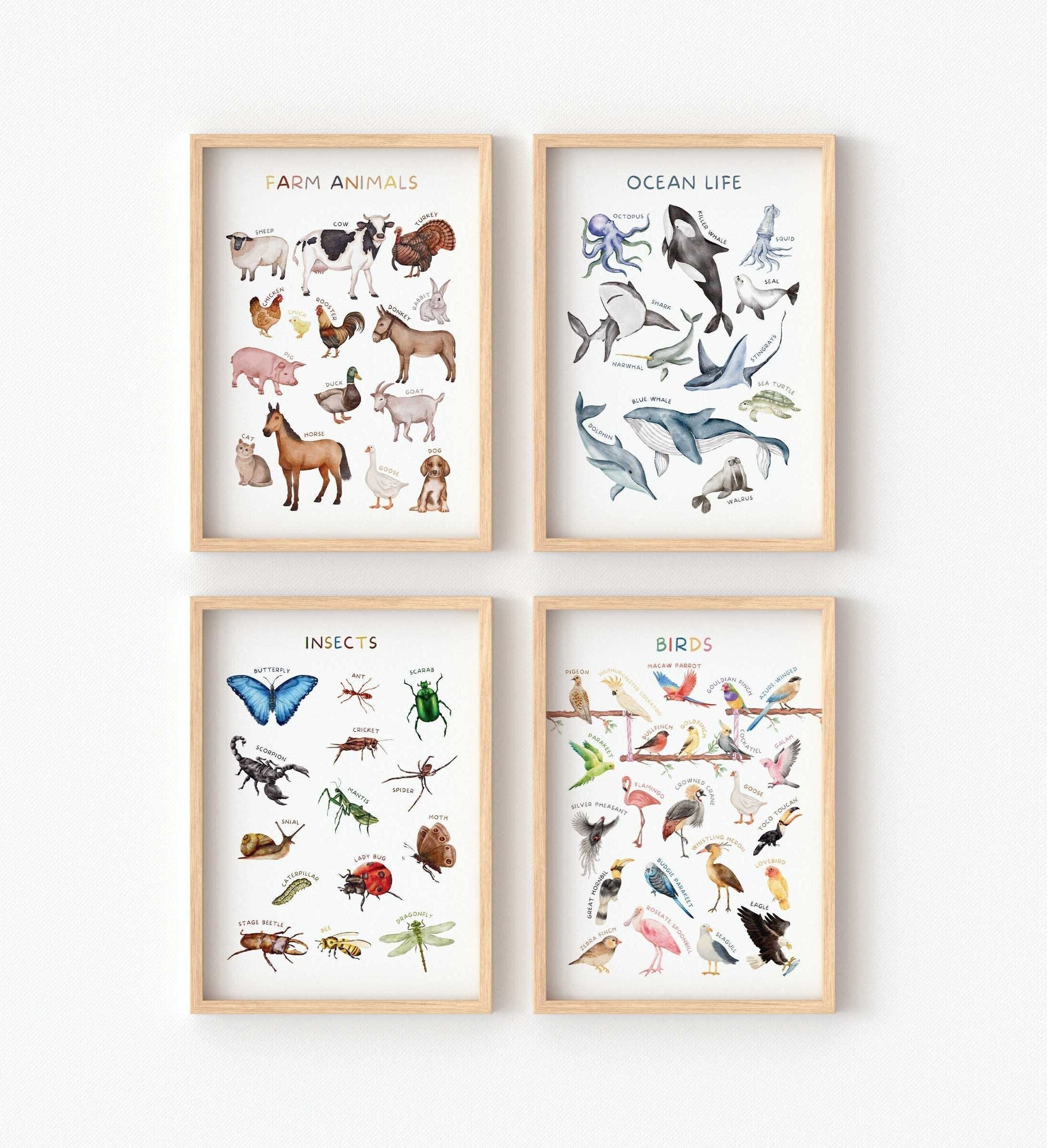 Set of 4 Educational Posters, Farm Animals Poster, Nursery Classroom ...