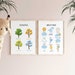 Set of 24 Educational Posters,classroom Decor, Nursery Wall Art ...
