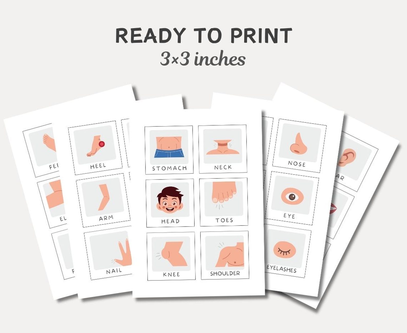 30 Body Parts Cards, Montessori Flashcards, Pre-school Cards, Learning ...