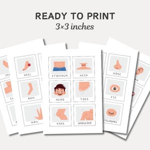 30 Body Parts Cards, Montessori Flashcards, Pre-school Cards, Learning ...