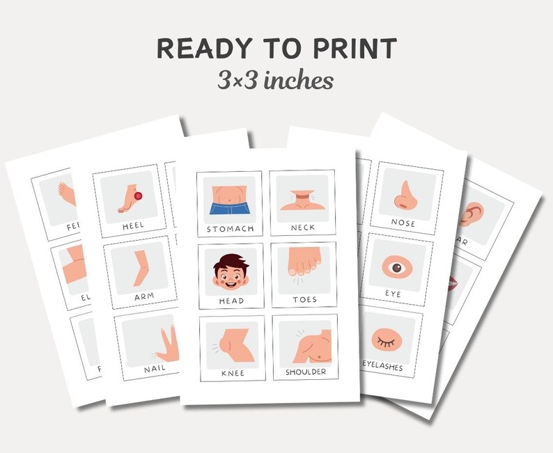 30 Body Parts Cards, Montessori Flashcards, Pre-school Cards, Learning ...