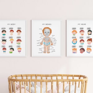 Classroom Decor Bundle, Set of 24 Educational Posters, Homeschool ...