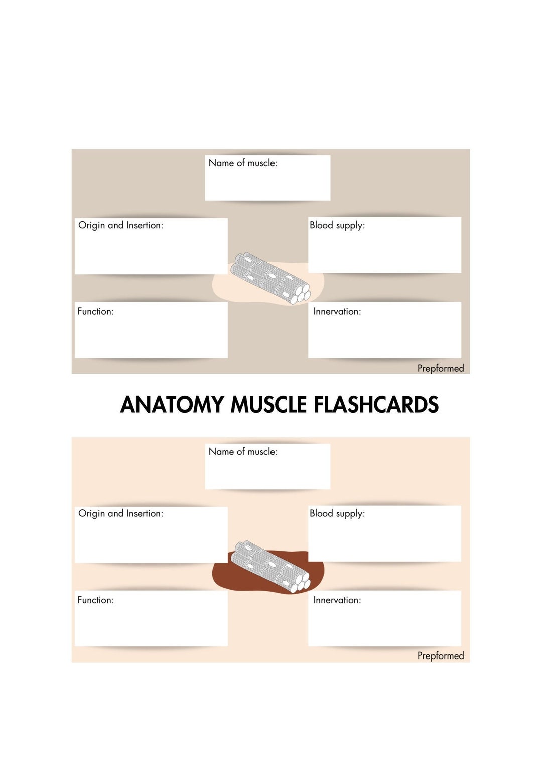 Anatomy Flashcard - Medical and Nursing Students - Etsy